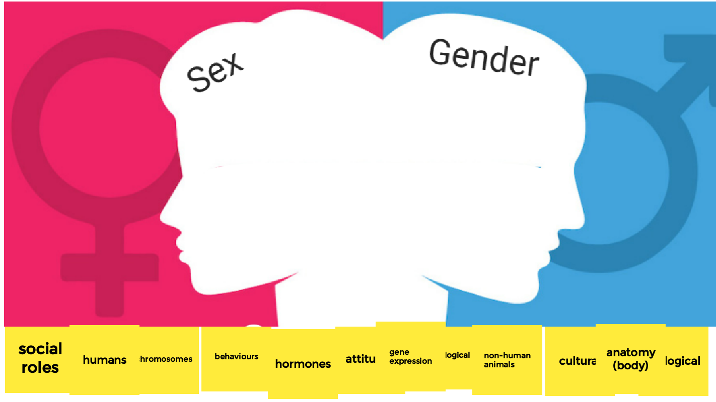 Sex and gender – psychologyrocks