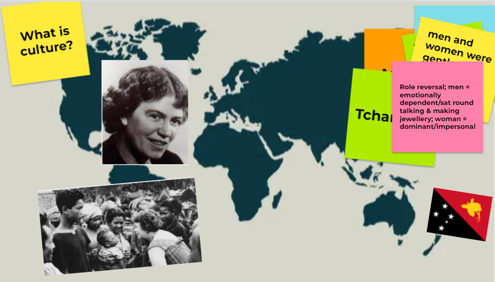 Social Learning Theory explanation of gender development – PsychStix