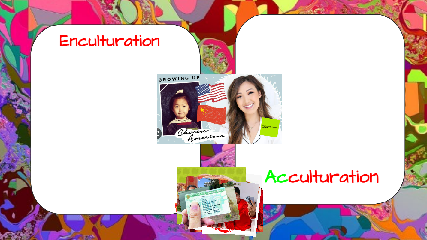 Acculturation – PsychStix